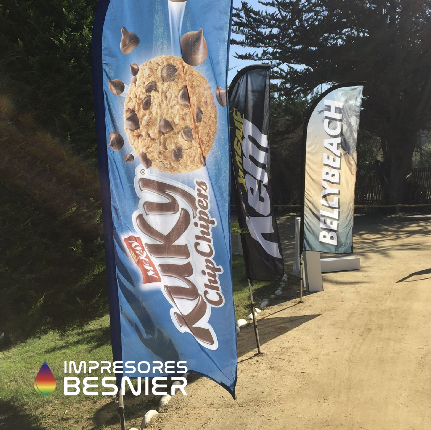 Banderas Publicitarias - Impresores Besnier
