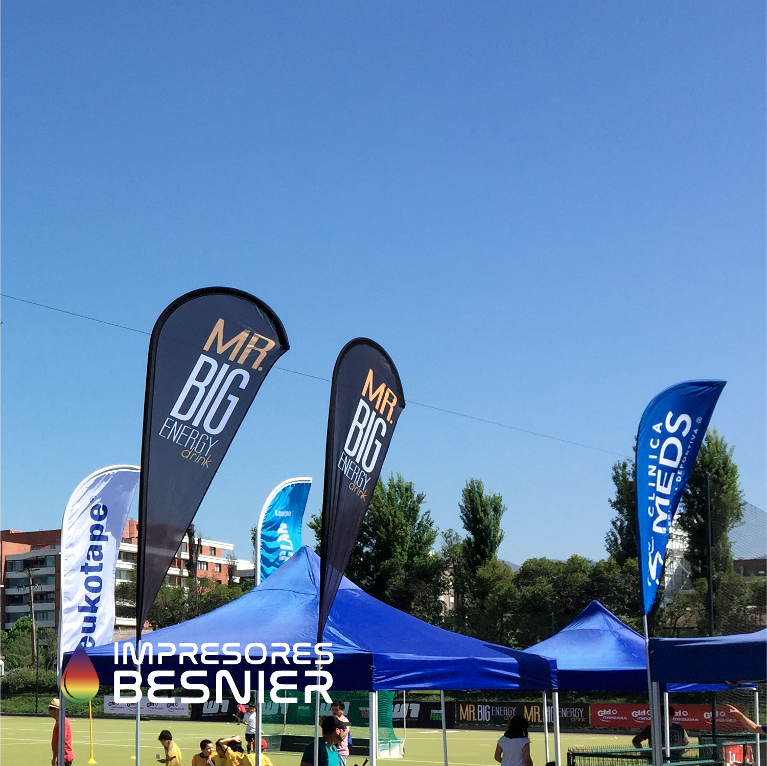 Banderas Publicitarias - Impresores Besnier